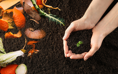 What Does Compostable Mean? It's Not As Simple As You Think - bambu