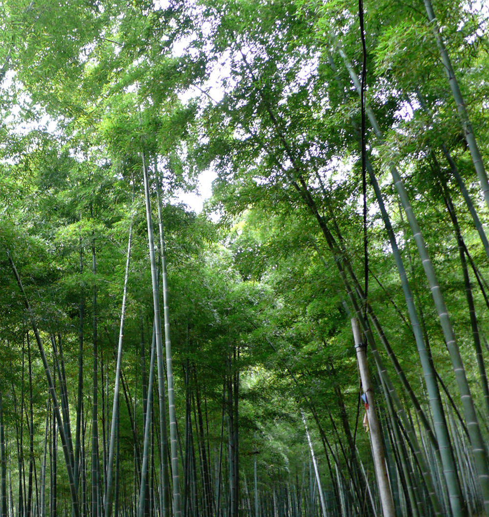 Certifications - bambu