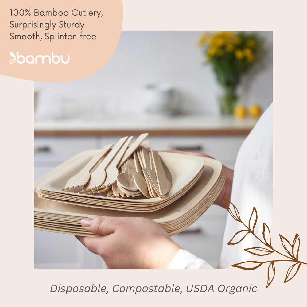 Compostable Bamboo Plates and Dinnerware | bambu®